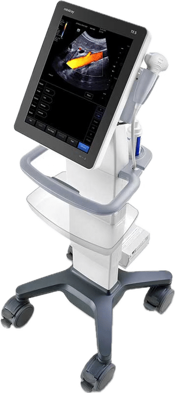 Ultrasound in Aesthetics - Bloom Rx Medical Corp